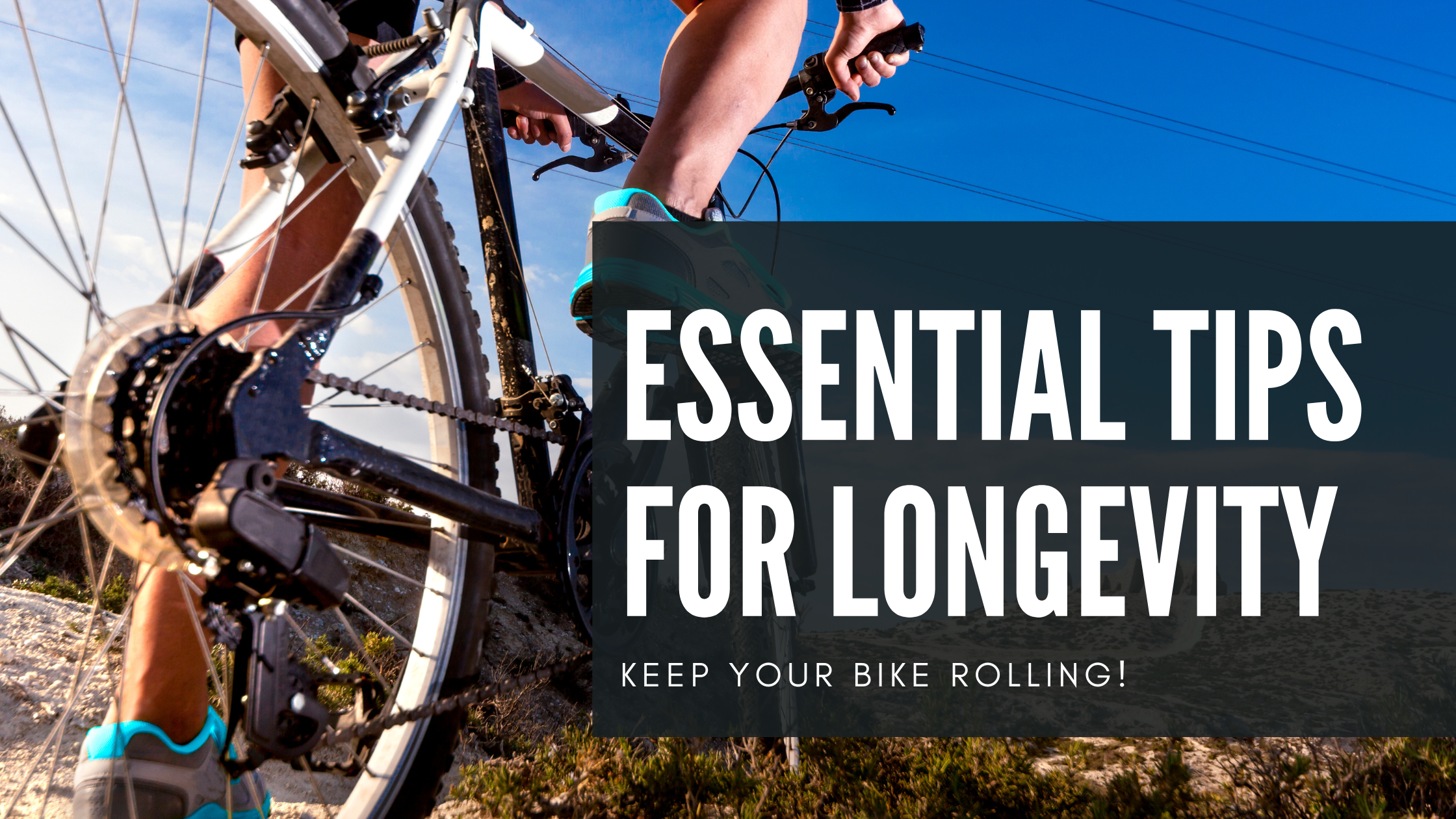 Keep Your Bike Rolling: Essential Tips for Longevity Tracer Bikes ...