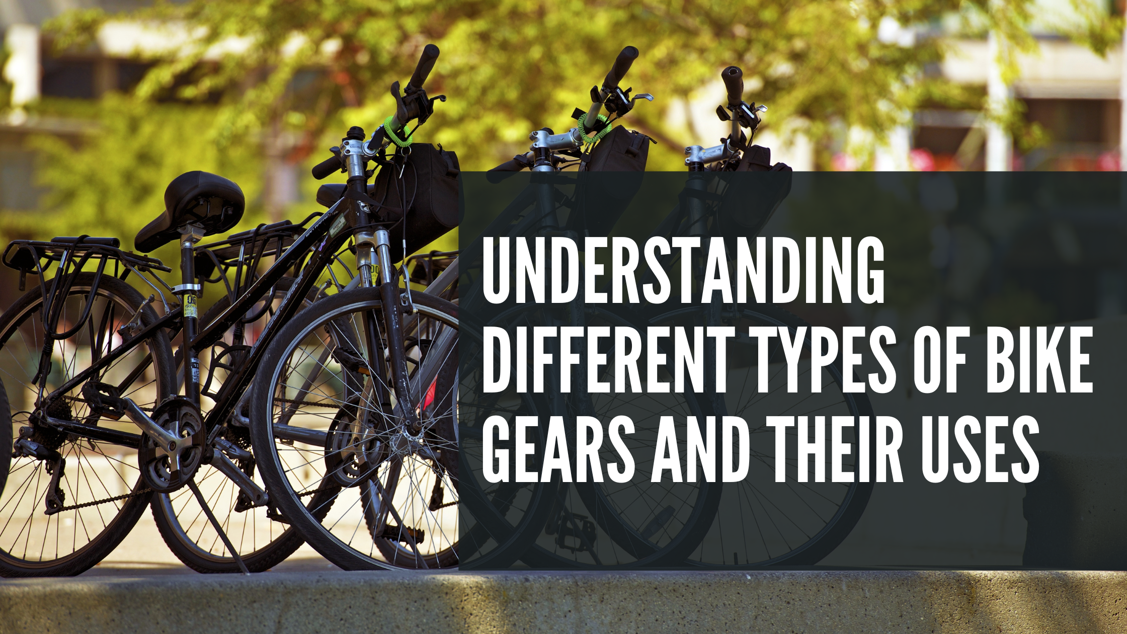 Understanding Different Types of Bike Gears and Their Uses Tracer Bikes | Chico Bikes – Chico ...