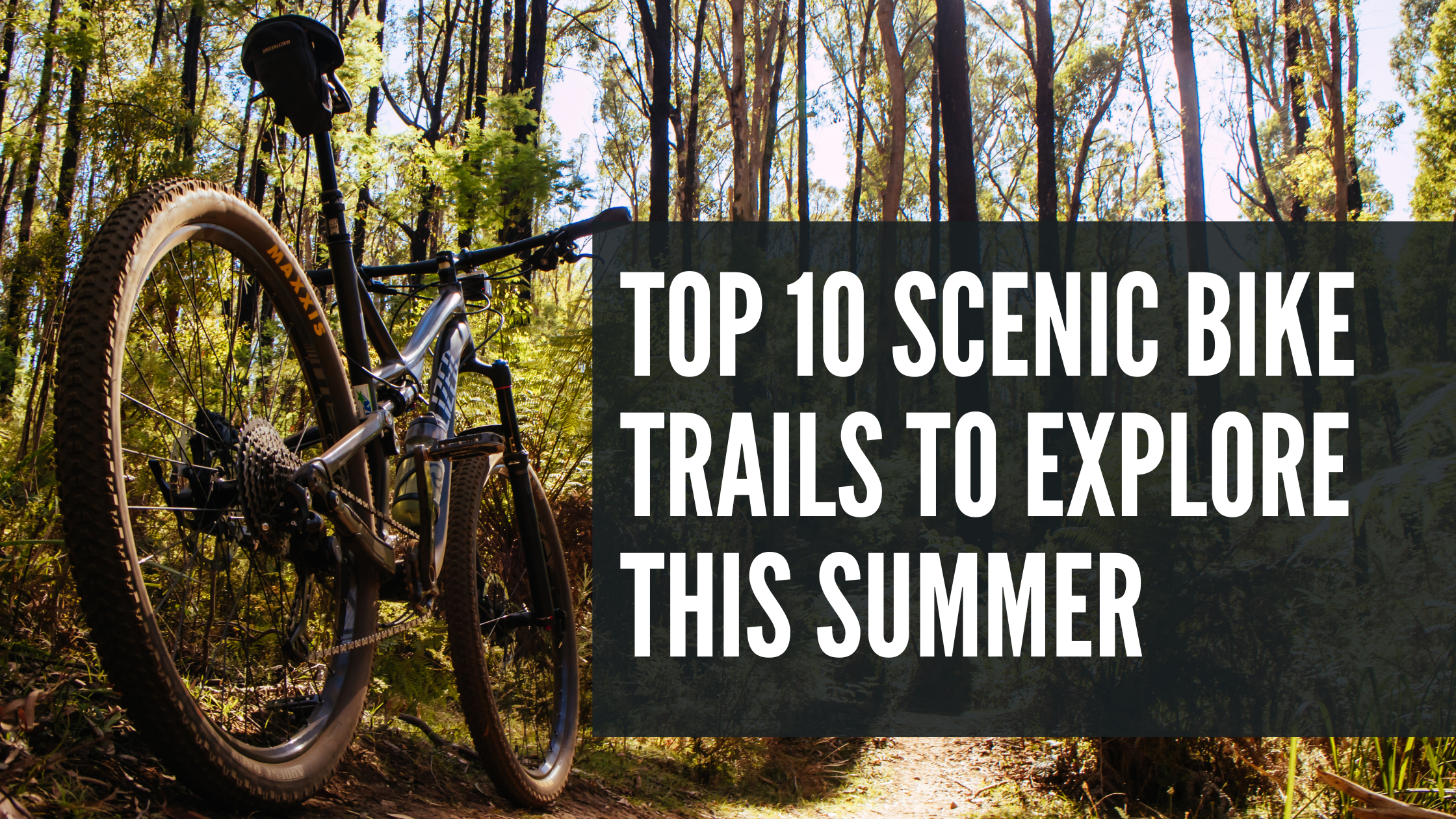 Top 10 Scenic Bike Trails to Explore This Summer Tracer Bikes | Chico ...